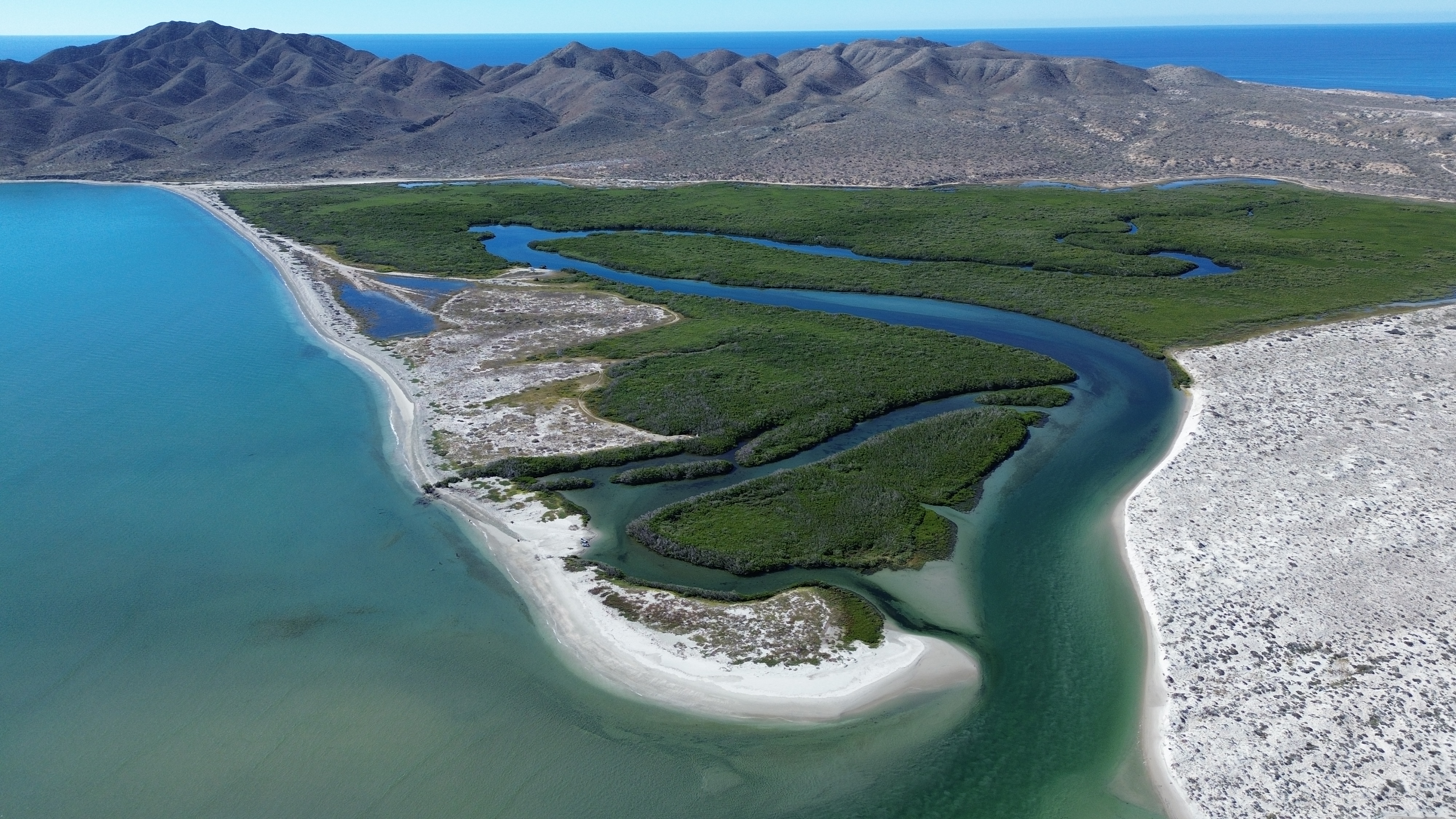 Mangroves & Poetry Passages – SV Terikah Adventures